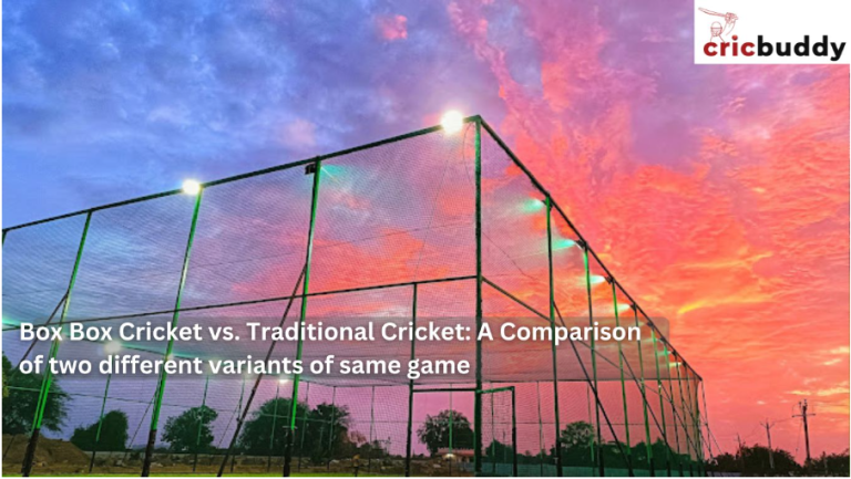 Box Cricket Vs. Traditional Cricket: A Comparison Of Two Different ...